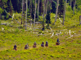 Colorado Adventure Ride - Jul. 27-31, 2014 - ADV Pulse