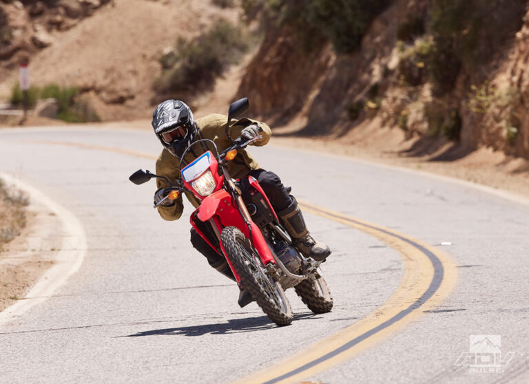 2021 Honda CRF300L and CRF300L Rally First Ride Review - ADV Pulse