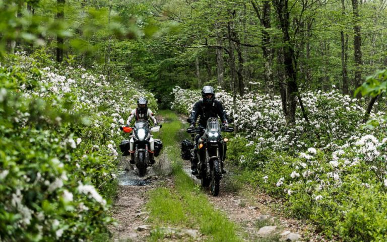 BDR Releases Its Second BDR-X Route, The "PA Wilds" - ADV Pulse