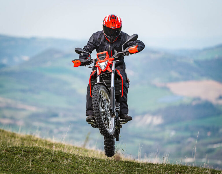 Beta Alp 4.0 and X: New Budget-Friendly Dual Sports Coming To US - ADV ...